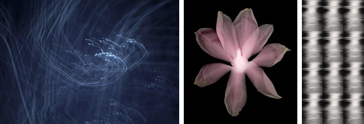 Observatory - İstanbul Modern